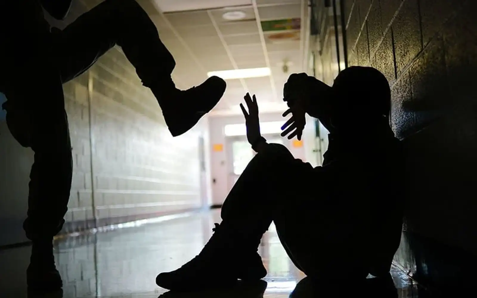 Incentives for ‘zero-bullying’ schools promote cover-ups, says DAP man