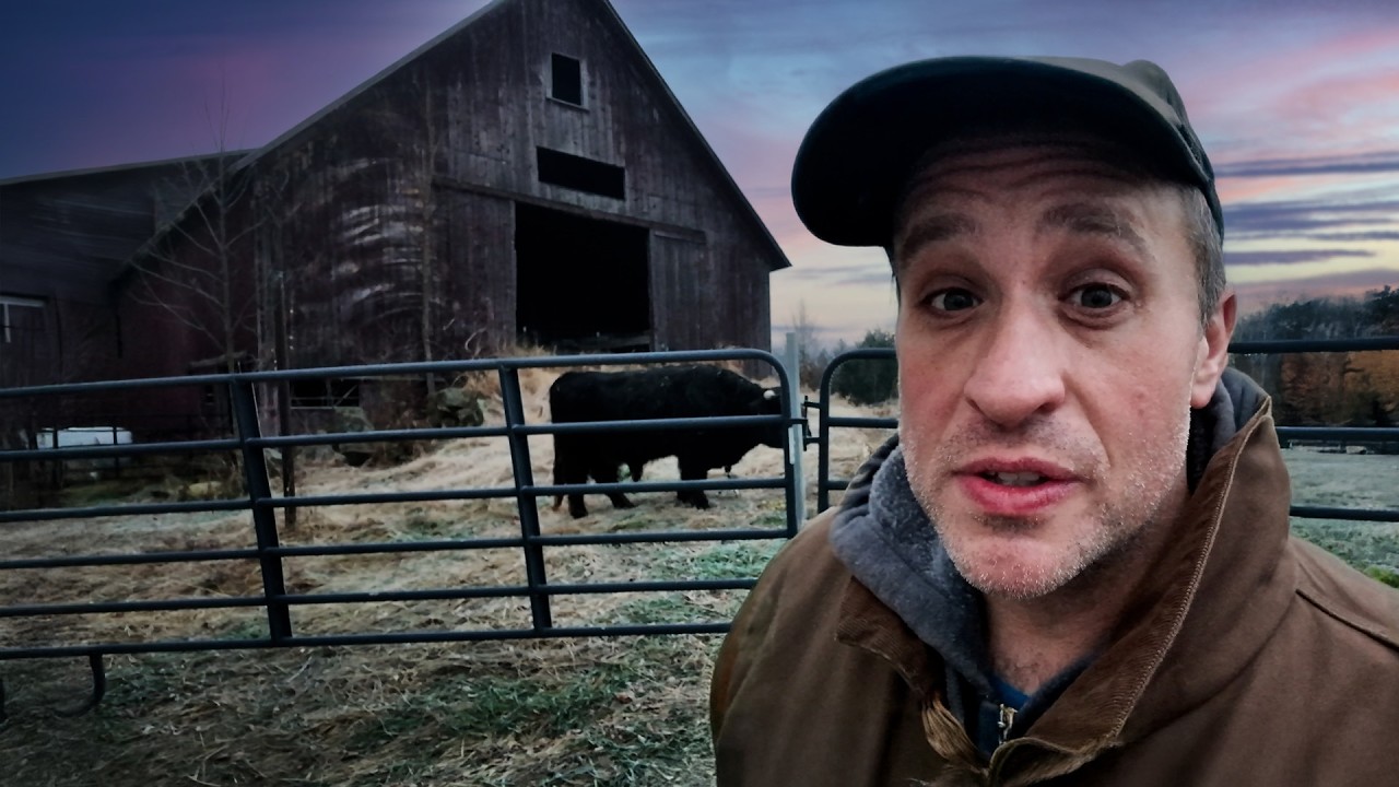 Life on the farm: Managing livestock during winter storms