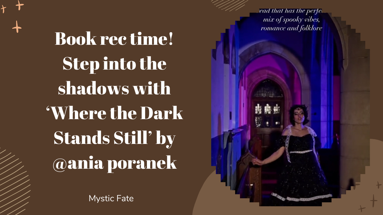 Book rec time! Step into the shadows with ‘Where the Dark Stands Still ...