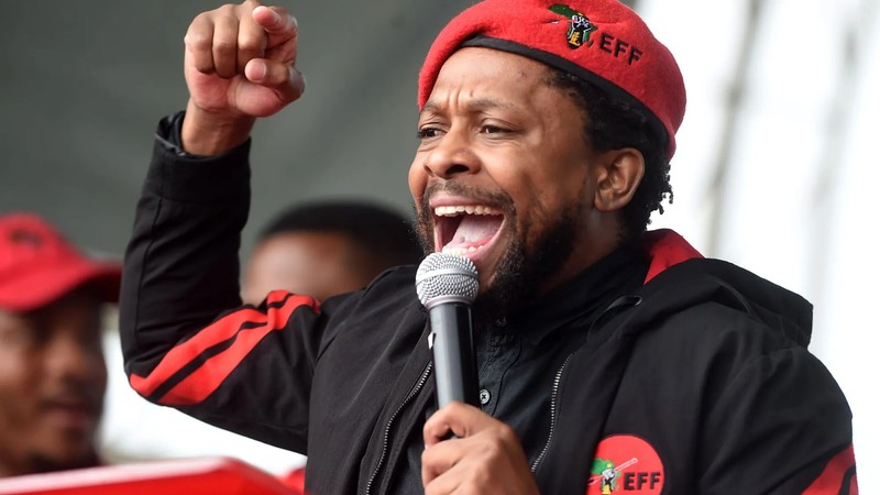 It’s time for Ndlozi to leave the EFF