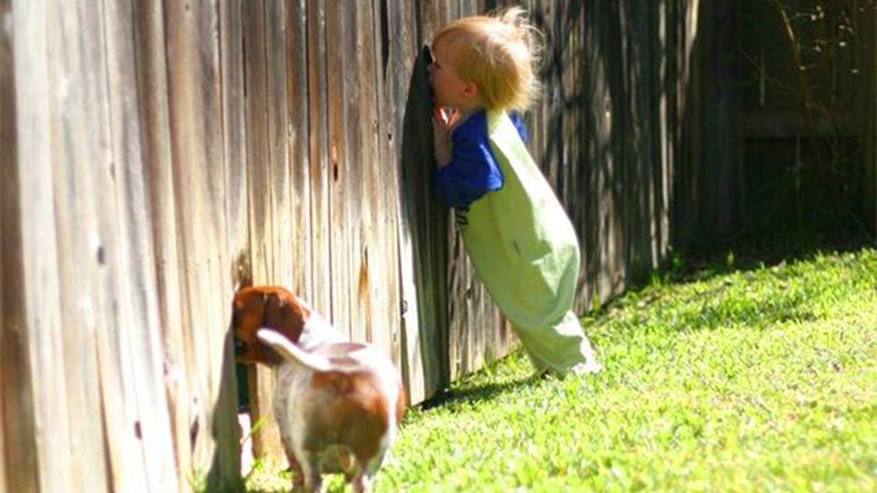 Watch what happens when a baby and dog become a funny duo