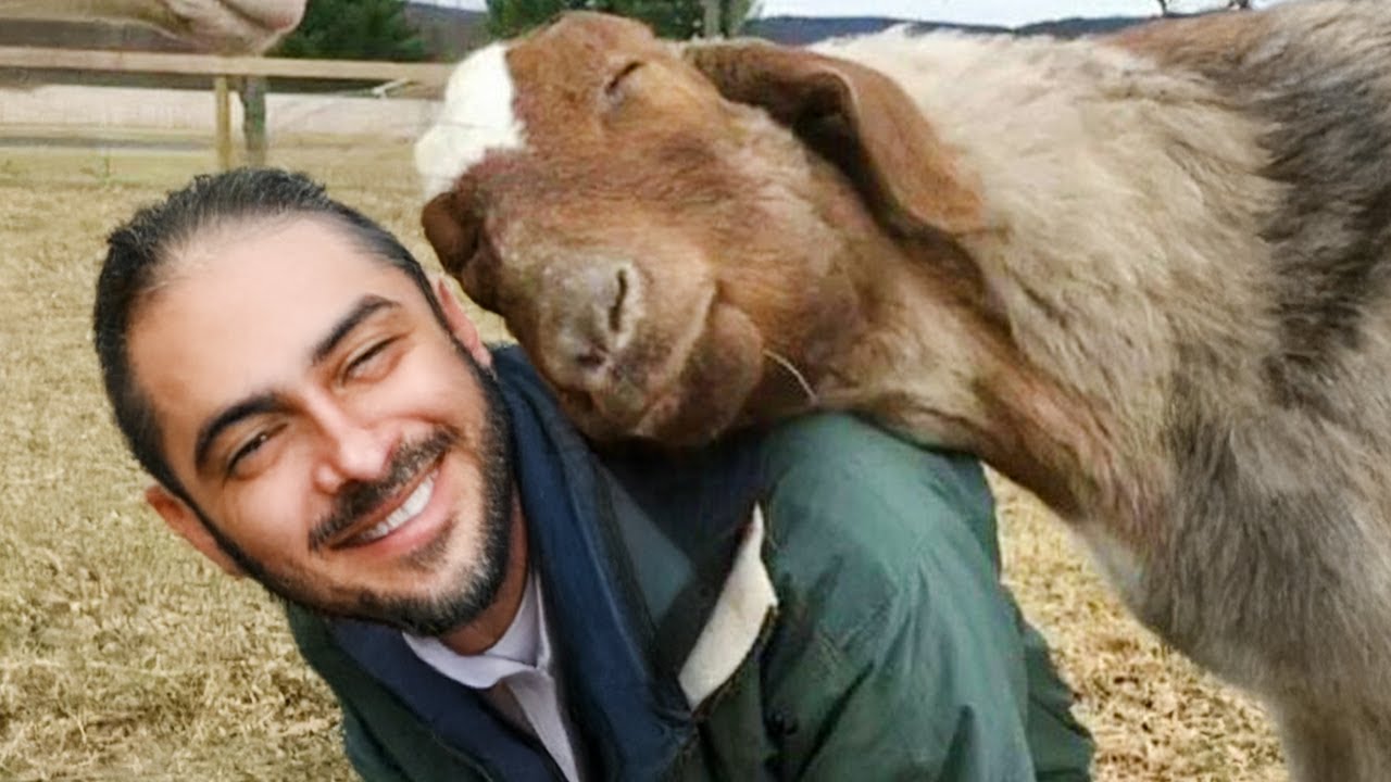 Love of Animals Moments That Will Cure Your Depression