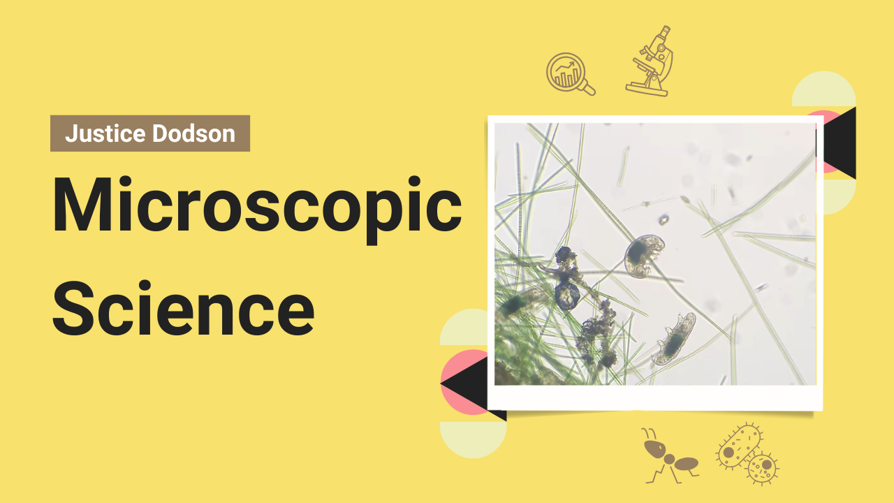 Exploring the Microscope