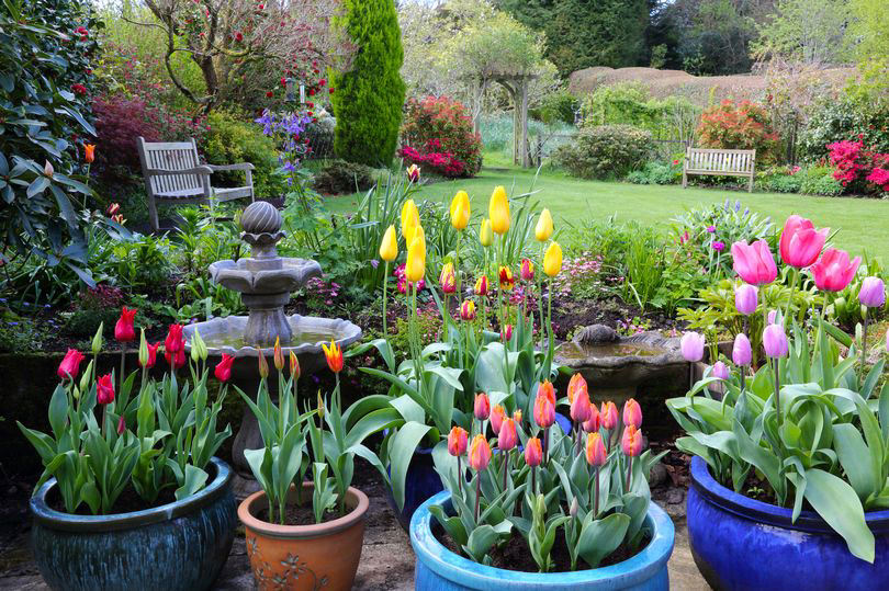 Spring gardens are transformed if gardeners get head start with tricky ... Spring gardens are transformed if gardeners get head start with tricky ...