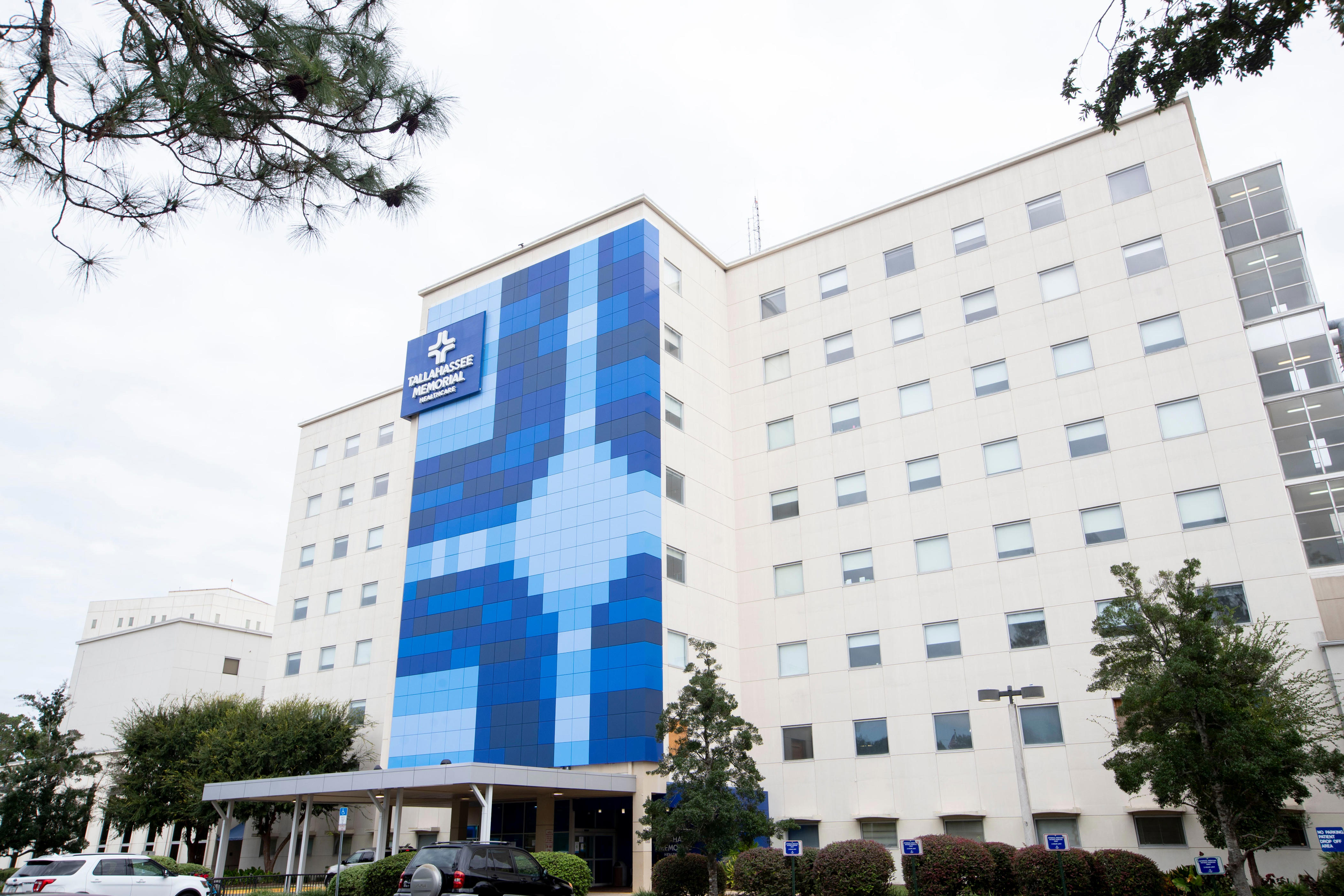 FSU-TMH plan: The public needs to know, who owns the dirt? | Opinion