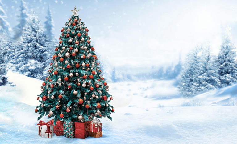 White Christmas Forecast: Map Shows States That Could See Snow on Christmas