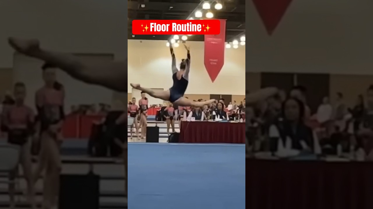 Guess The Score Of This Incredible Gymnast Routine