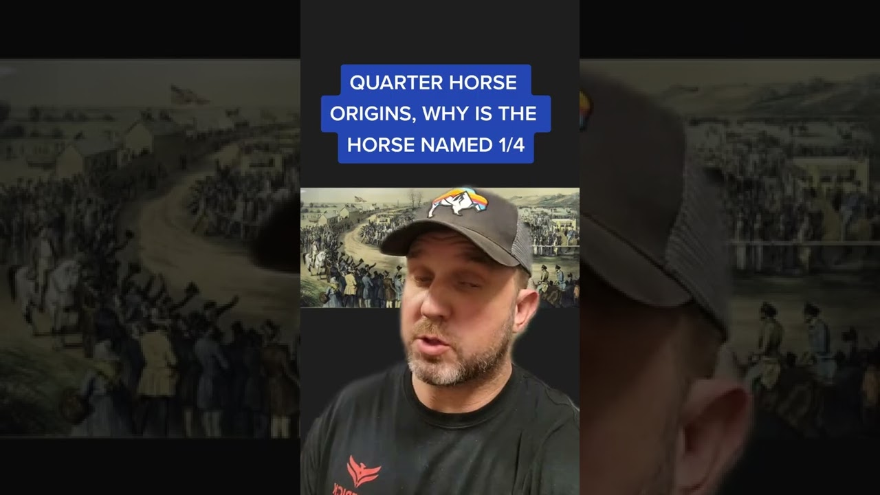 What Does Quarter Horse Mean?