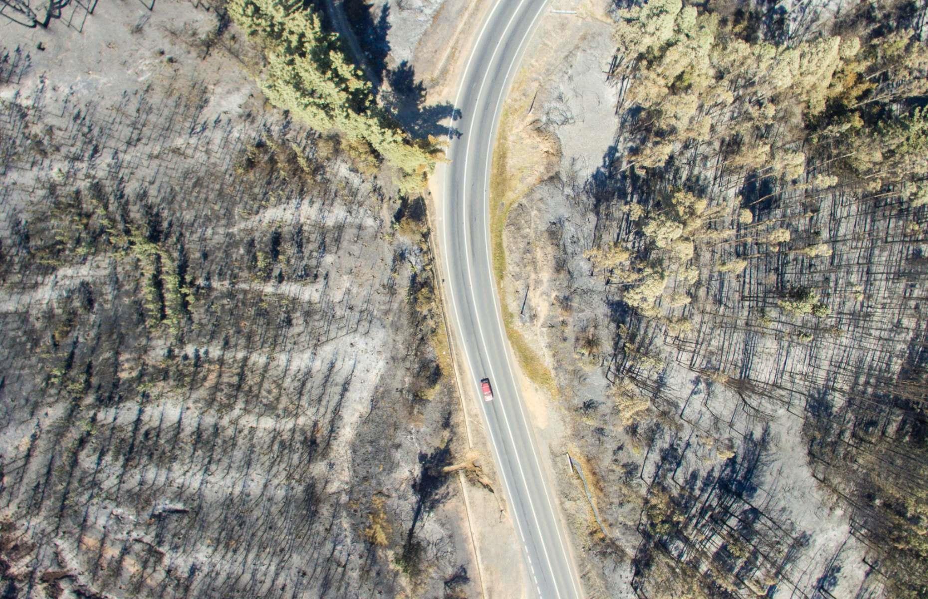 Earth's Climate Emergency Shown In SHOCKING Photos