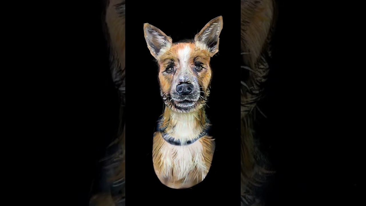 Incredible dog makeup transformation you won’t believe