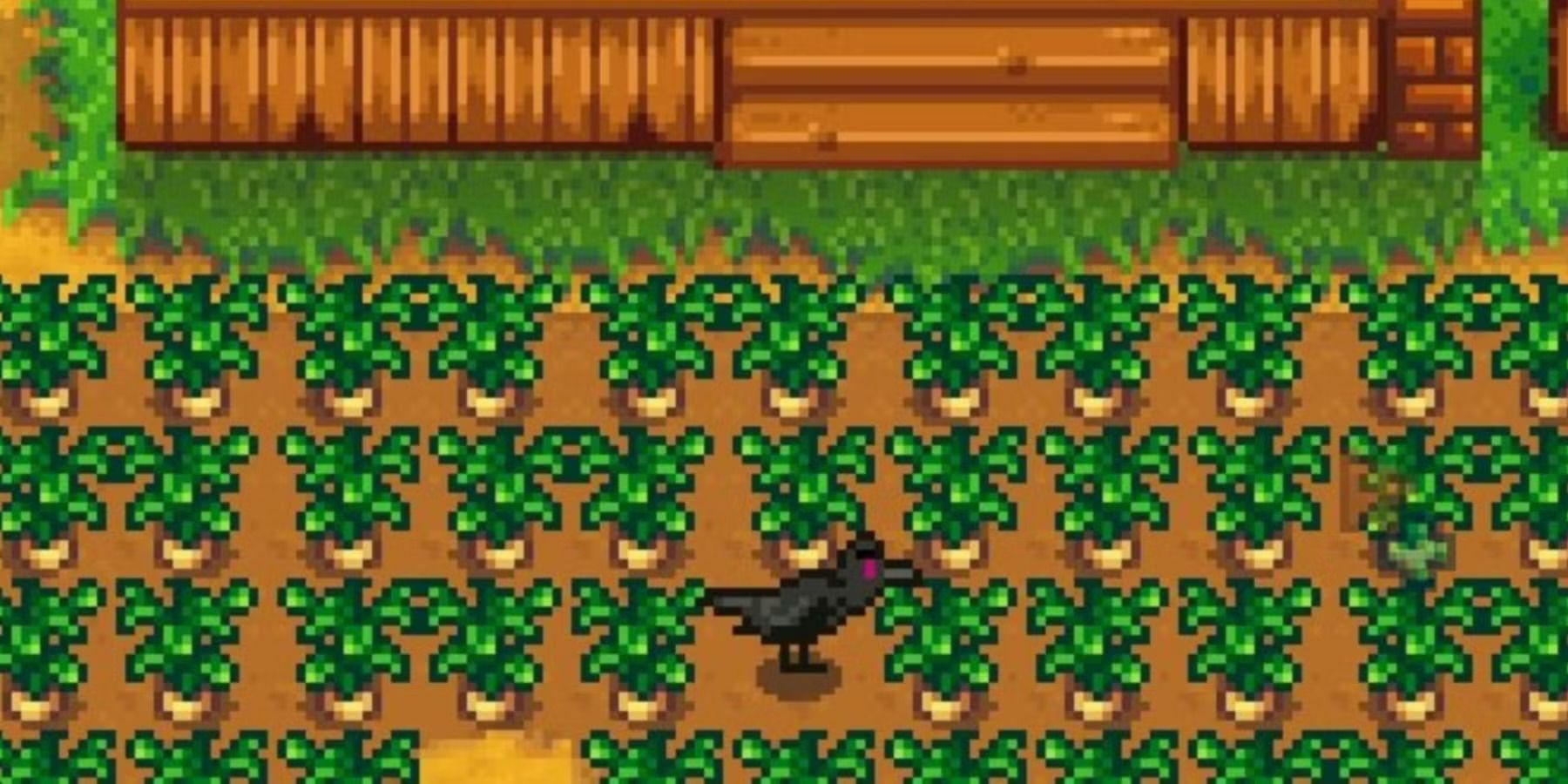 You're Probably Using Scarecrows Wrong In Stardew Valley