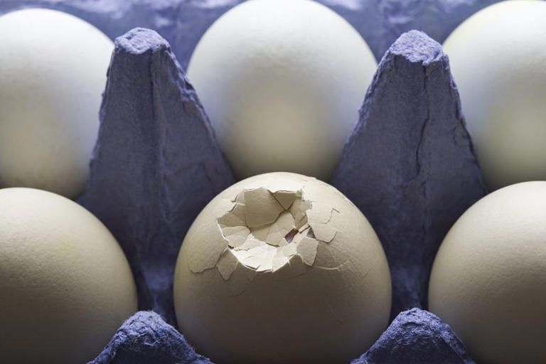 How Bad Is It to Use an Egg With Cracks in It?