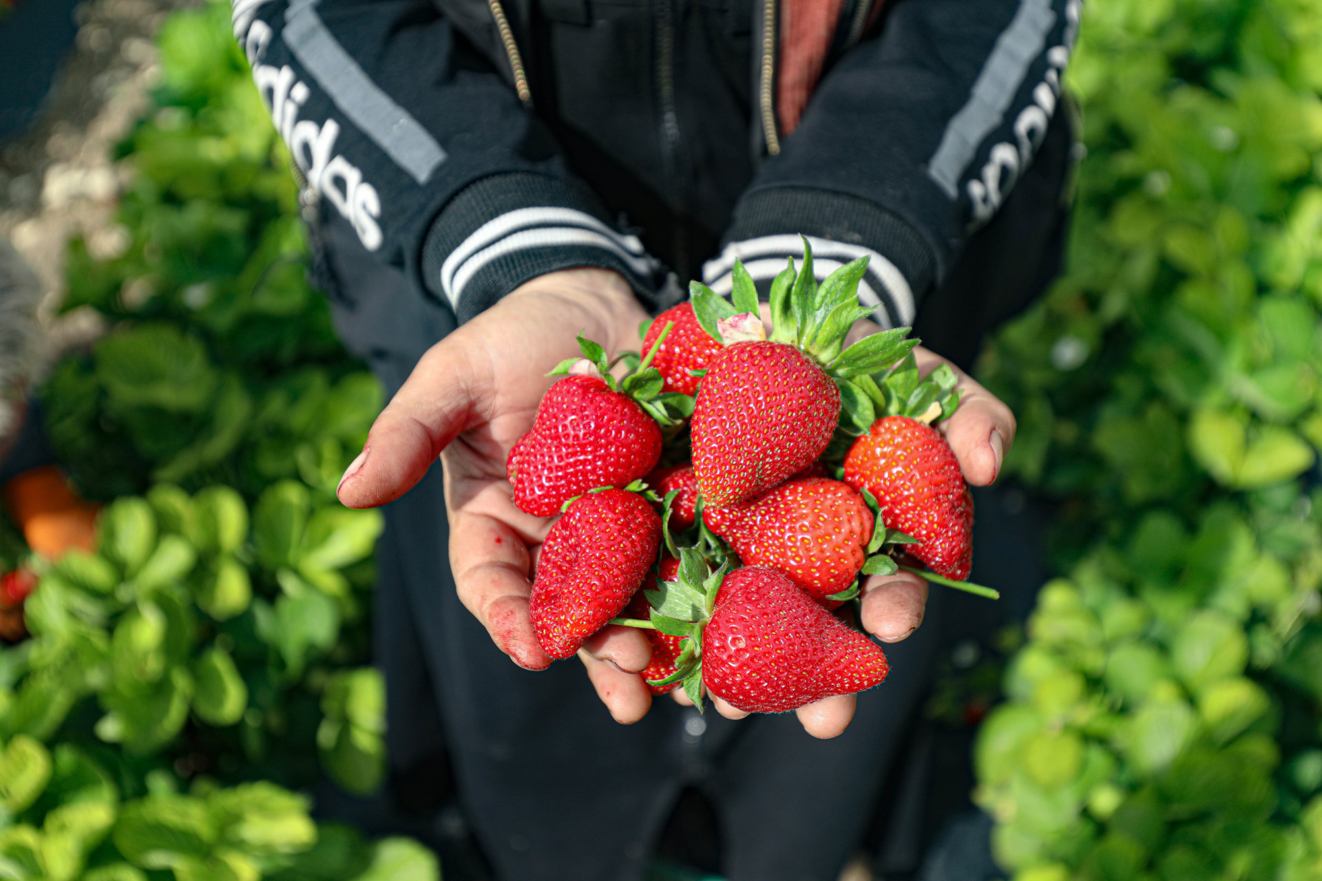 Les meilleurs aliments pour votre santé, décennie par décennie