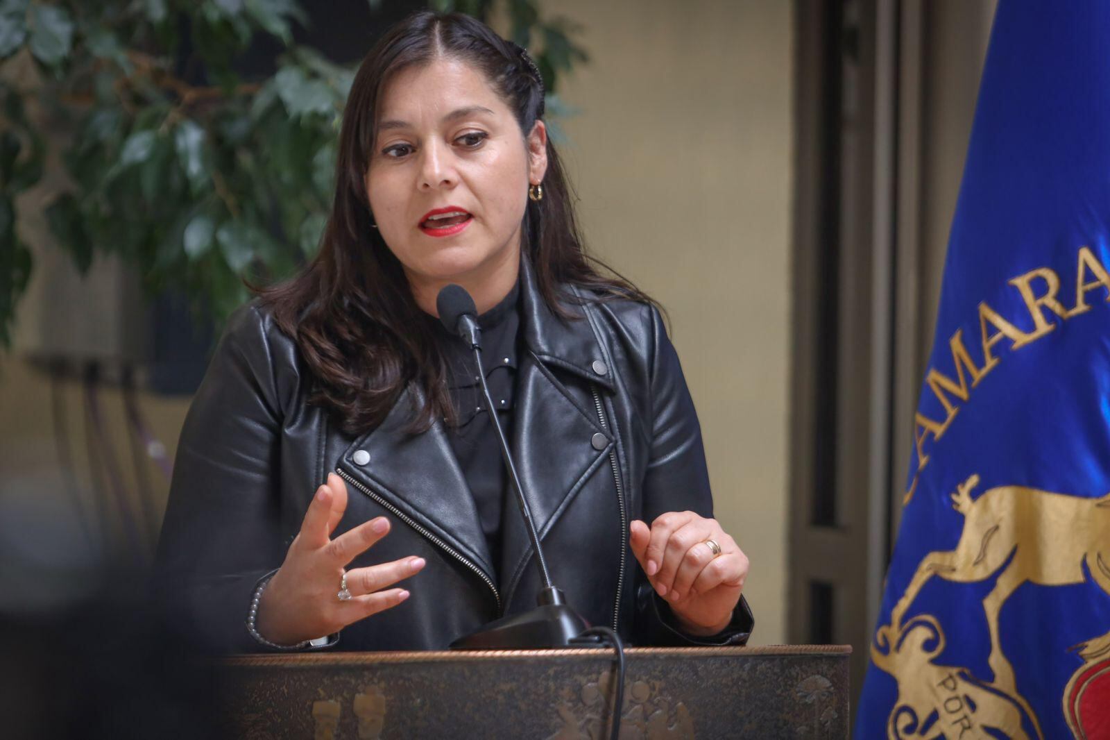 Diputada Karen Medina exige regulación del “gas de la risa” ante ...