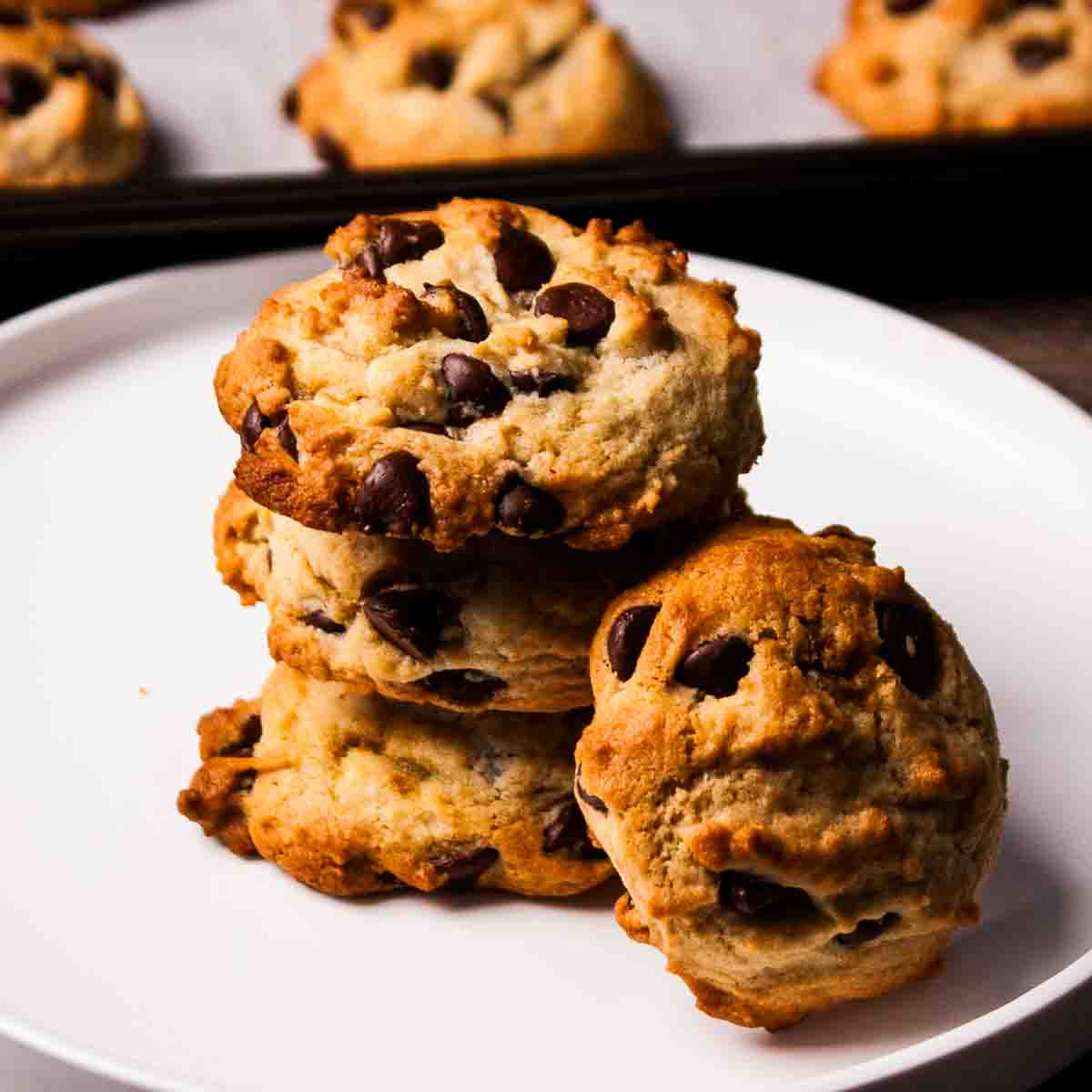 The Best Ever Sourdough Chocolate Chip Cookies