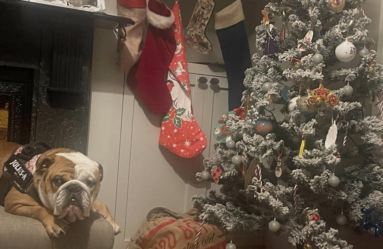 Parent reveals why they told their child the truth