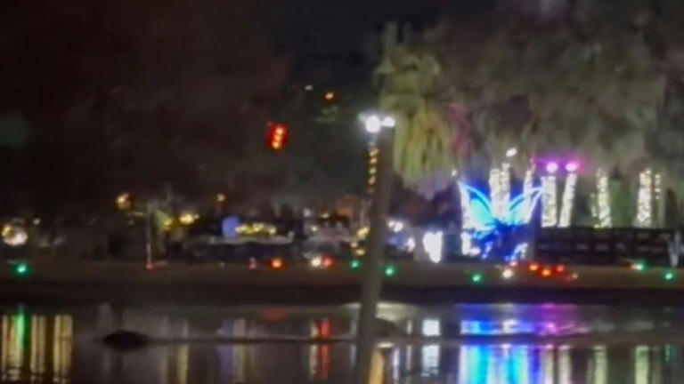 FAA announces suspension restricting drone company after holiday show ...