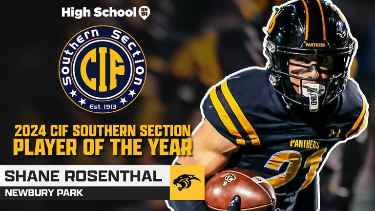 All-CIF Southern Section 2024 football team: Newbury Park's Shane ...