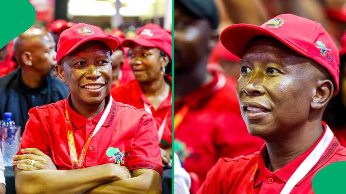 Julius Malema's prepared for the EFF to join the GNU Julius Malema's prepared for the EFF to join the GNU