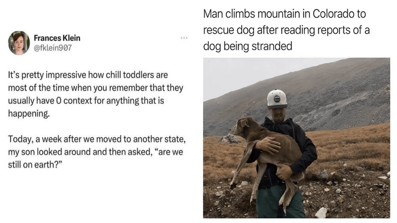 25 Wholesome Memes For A Pre-Christmas Stress Reduction