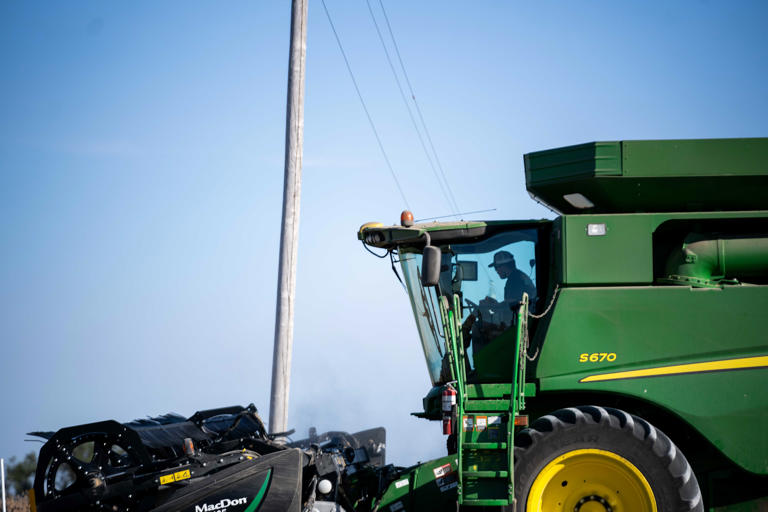 I had to quit my family's fifth-generation farm. Monopolies pushed me ...