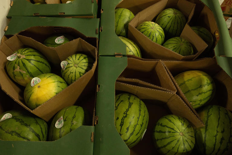 'Like an arms race': Arizona farmers fear the long-term effects of ...