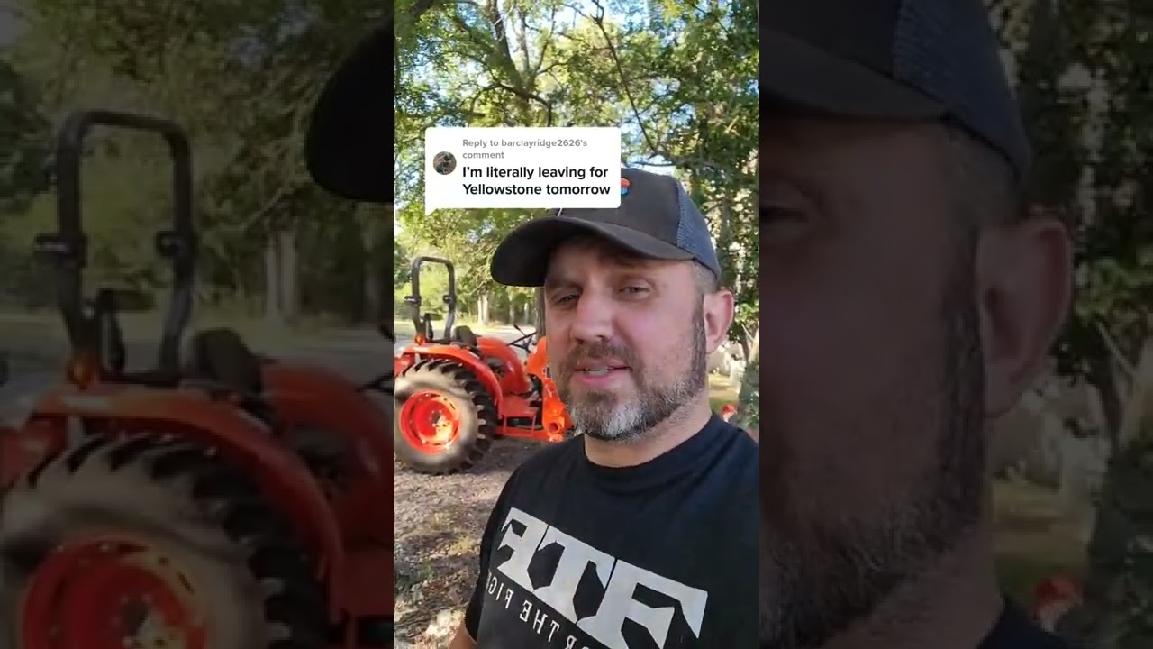 Heading to Yellowstone: What to Expect