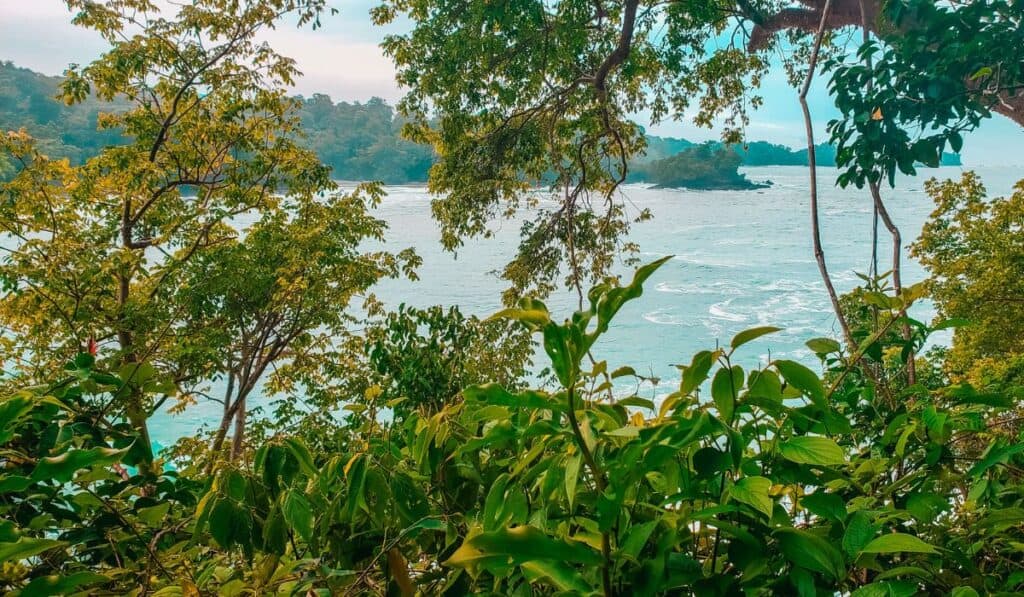 Weather in Manuel Antonio, Costa Rica by Month: Travel Guide