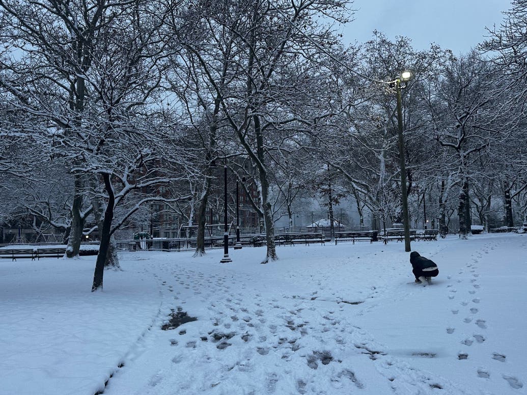 Snow Totals Released For Hoboken And Jersey City: How Much?