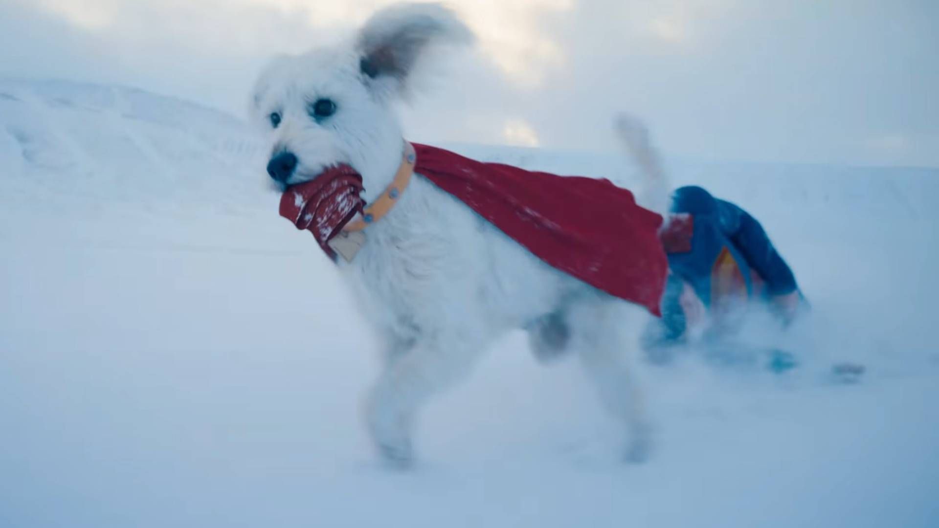 Superman’s super dog Krypto may look all innocent in the trailer, but James Gunn says he is a ...