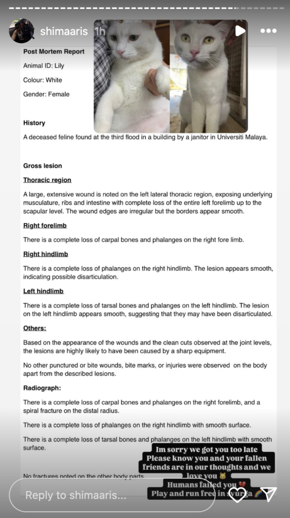 “No Bite Marks, Lesions Likely Caused By Sharp Equipment” – Lily The UM ...