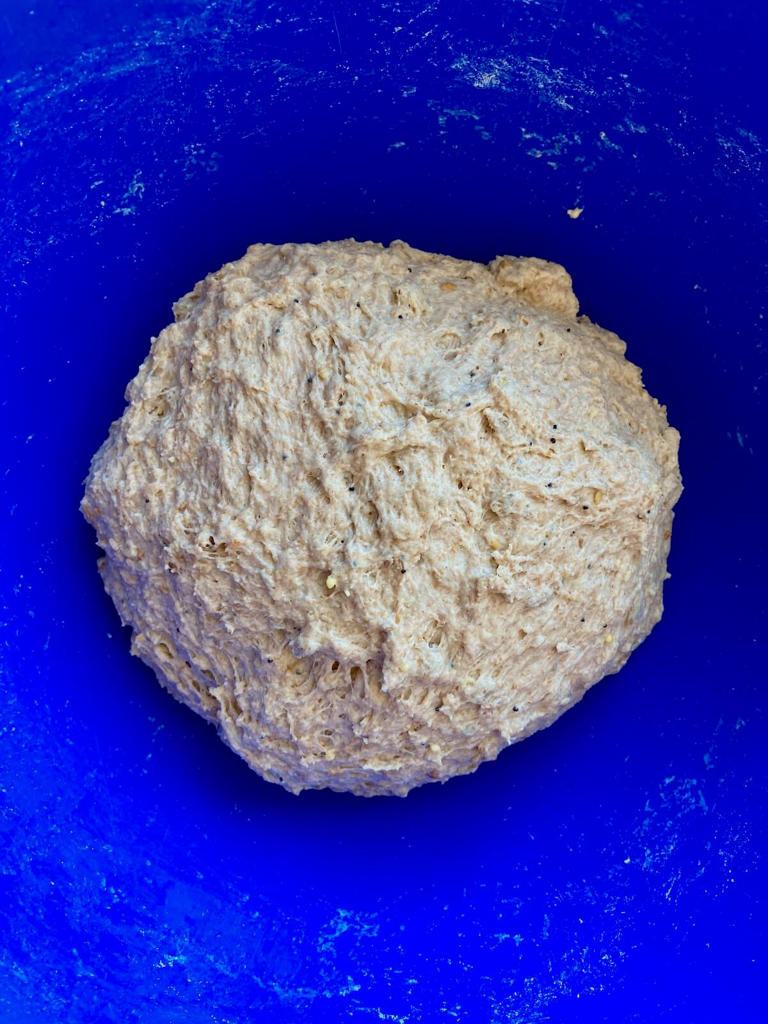 Multigrain Sourdough Bread