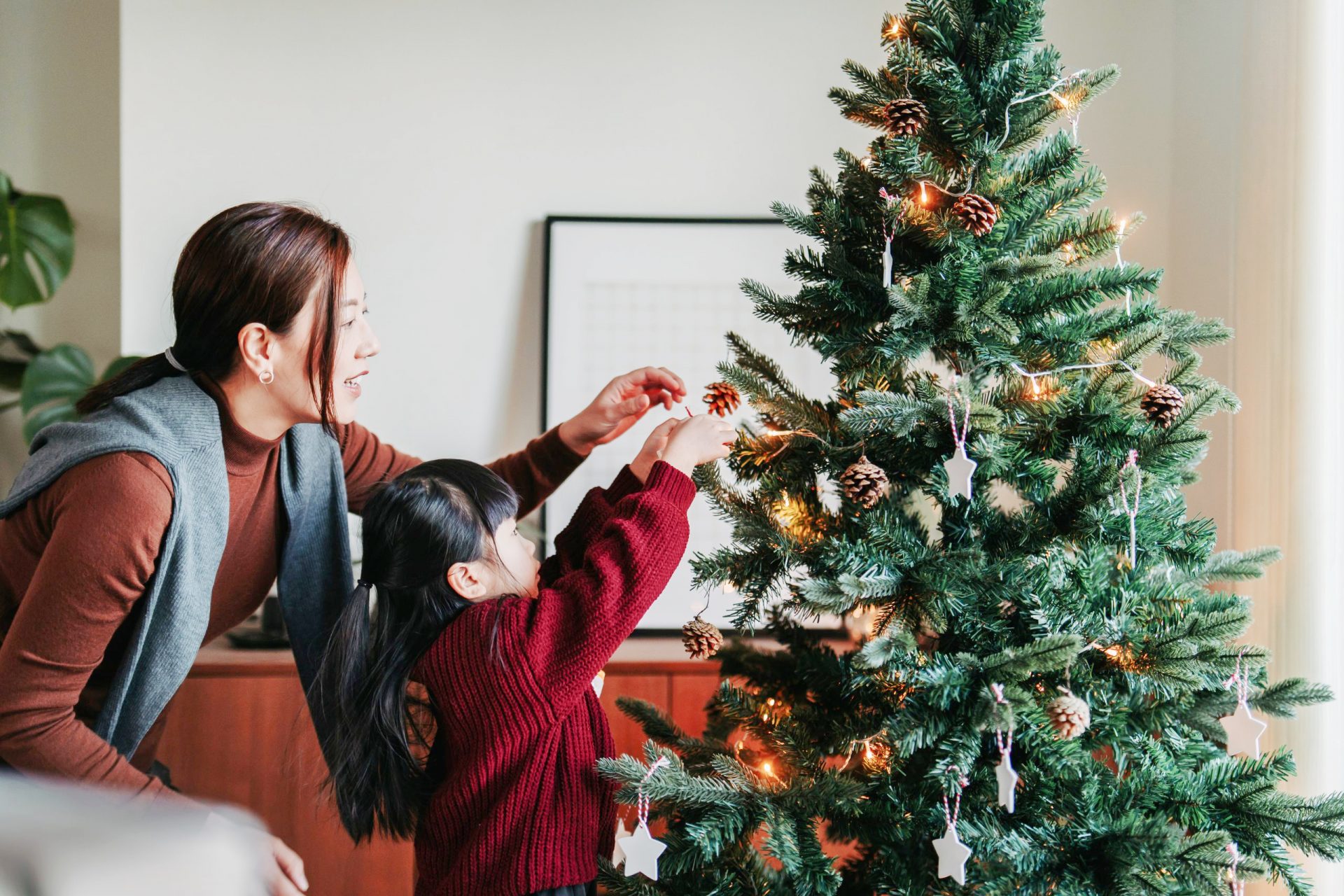 Which are better for the environment, real or fake Christmas trees?