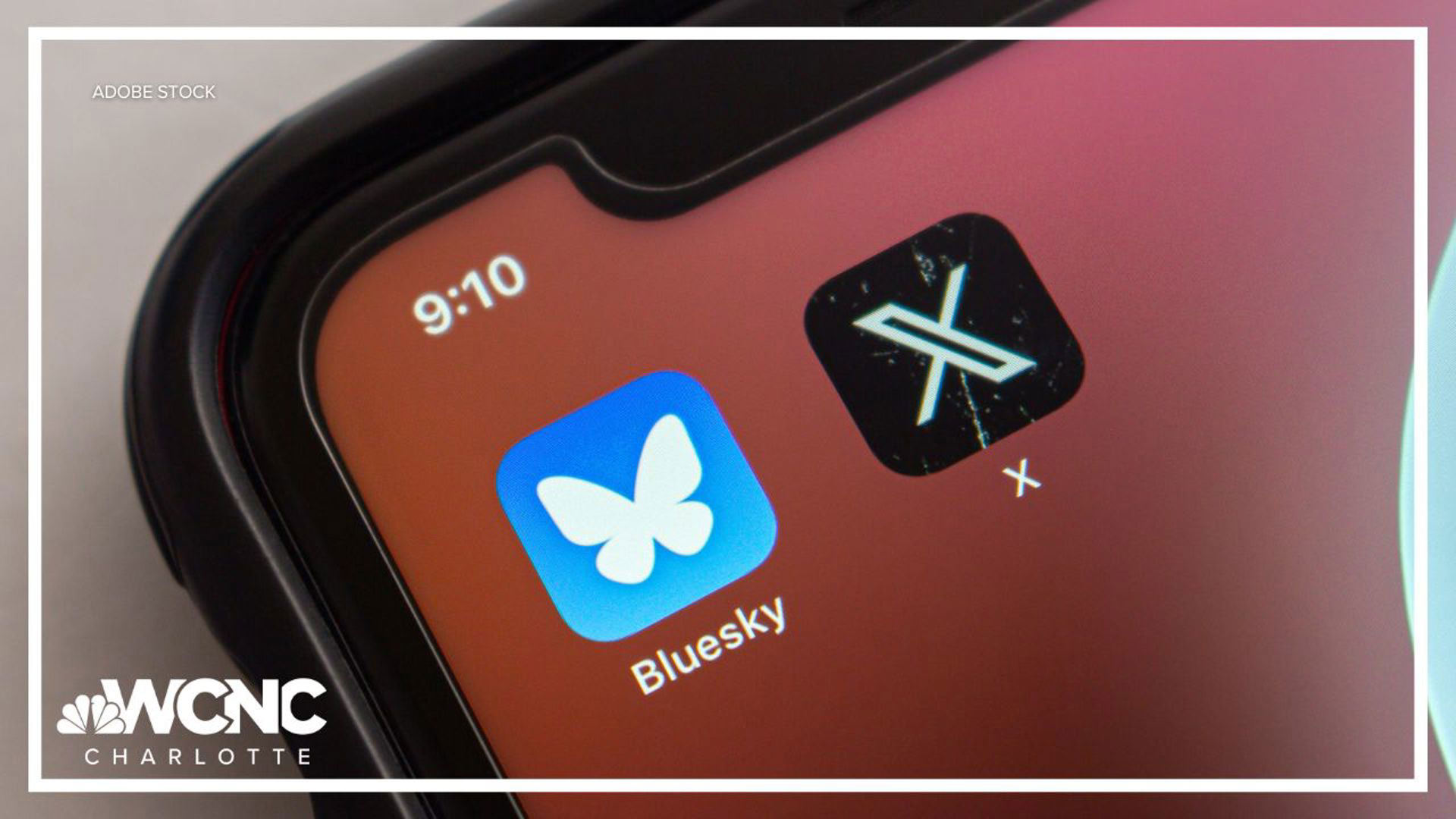 Bluesky signups surge as X users flee app after Trump's election win Bluesky signups surge as X users flee app after Trump's election win