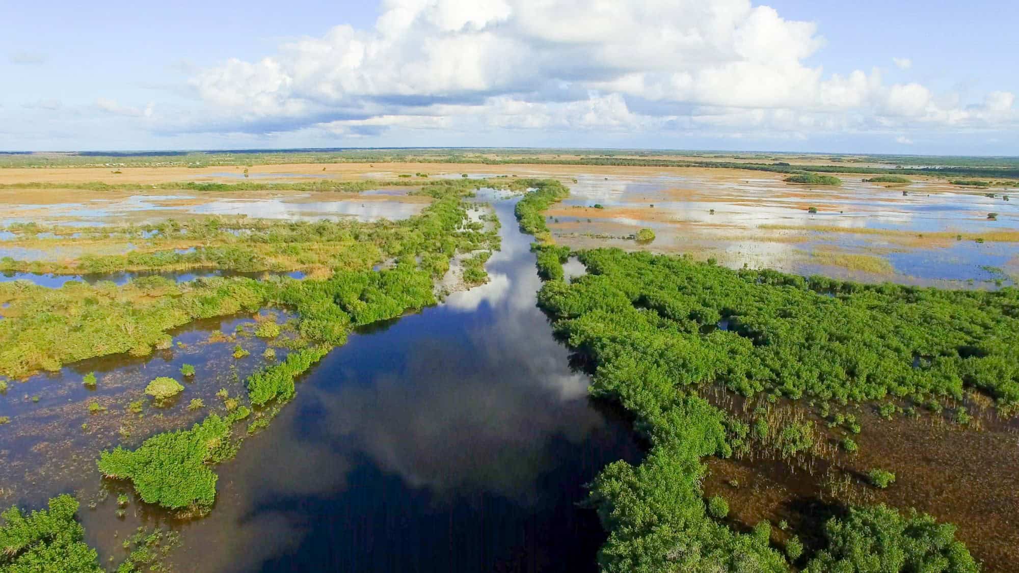 12 State Parks That Offer An Unexpected Alternative To The Everglades
