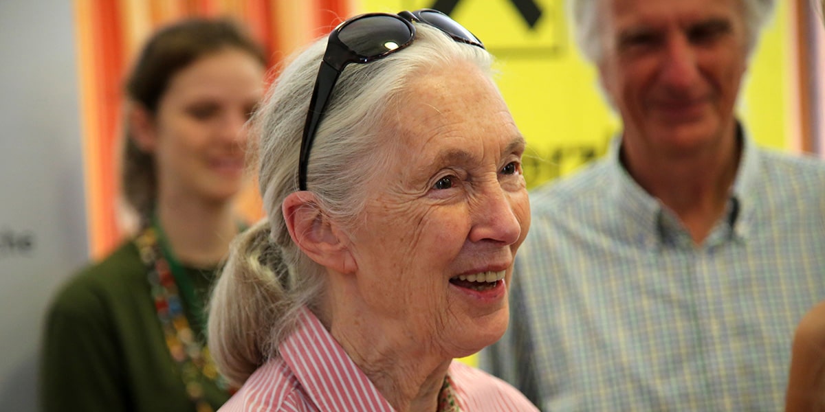 Mujeres Activistas Influyentes que Cambiaron el Mundo