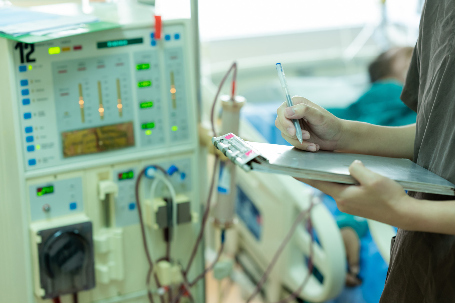 Which countries have the highest organ donation rates?