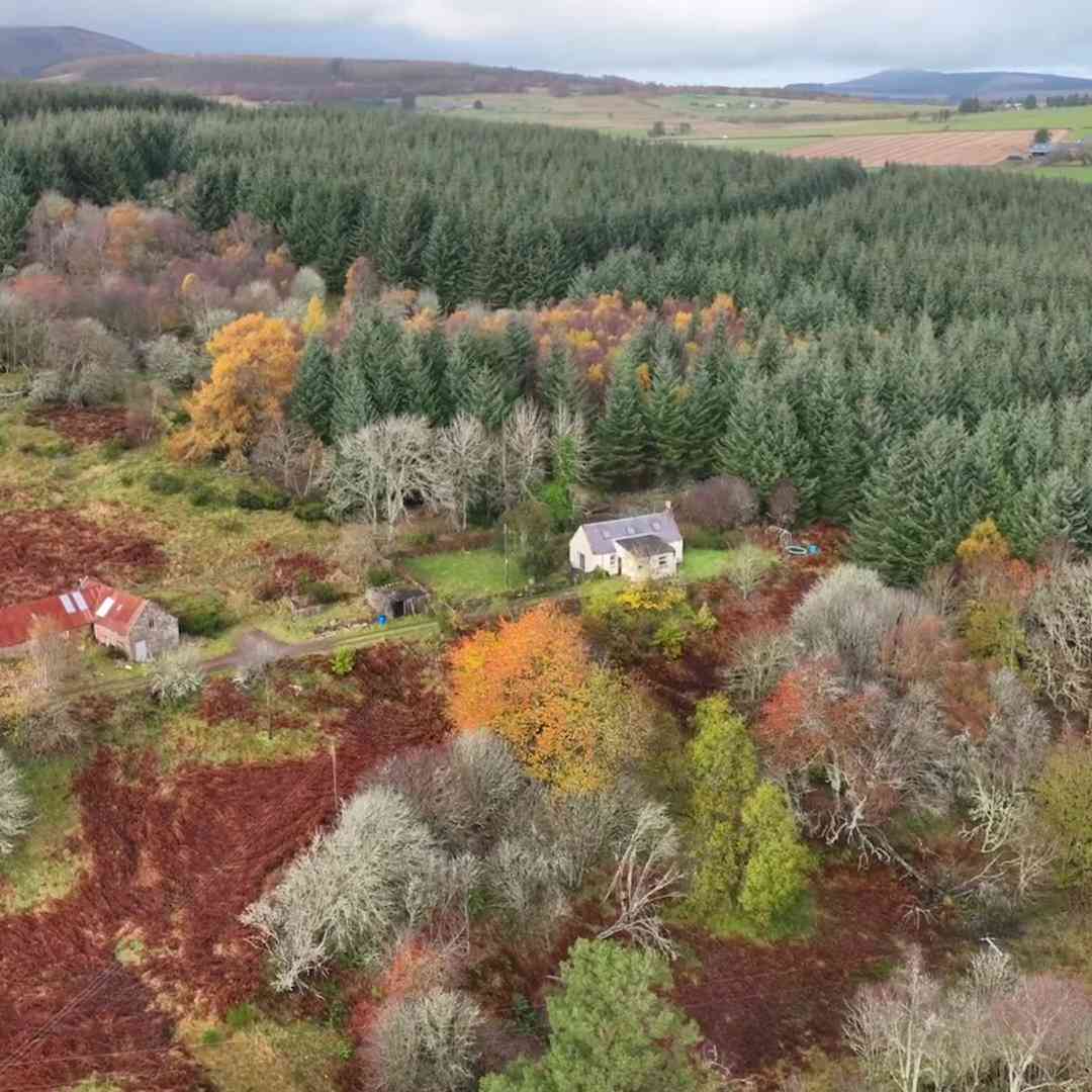 Inside a Scottish home: A captivating house tour