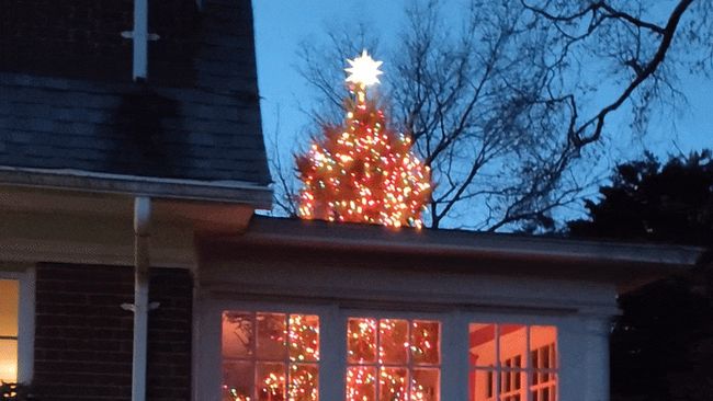 Christmas Tree Illusion in Connecticut Wows in Viral Video