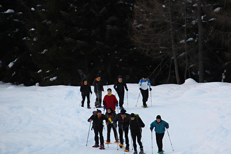 Ciaspolate alla scoperta del Parco nazionale dello Stelvio