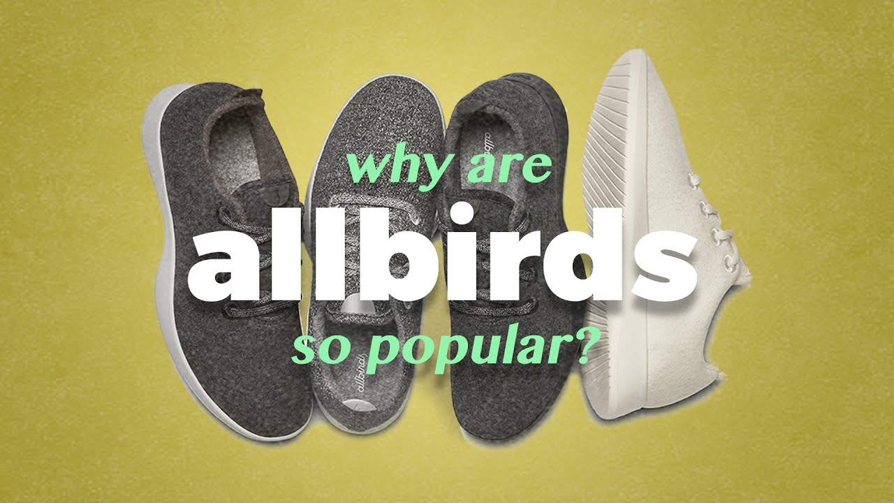 Allbirds’ Success Story – The Comfy, Eco-Friendly Shoe Trend