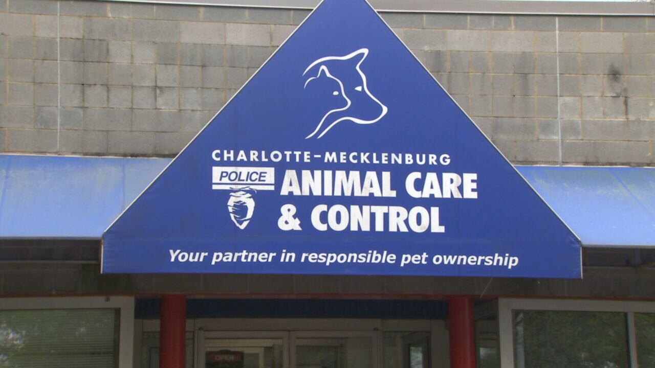 Local animal organizations partner to offer free spay and neuter clinics