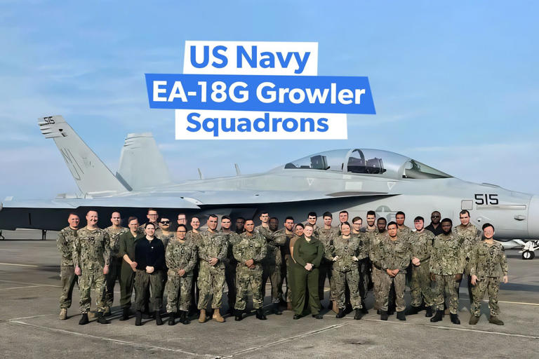 A Closer Look At The US Navy's 16 EA-18G Growler Squadrons A Closer Look At The US Navy's 16 EA-18G Growler Squadrons