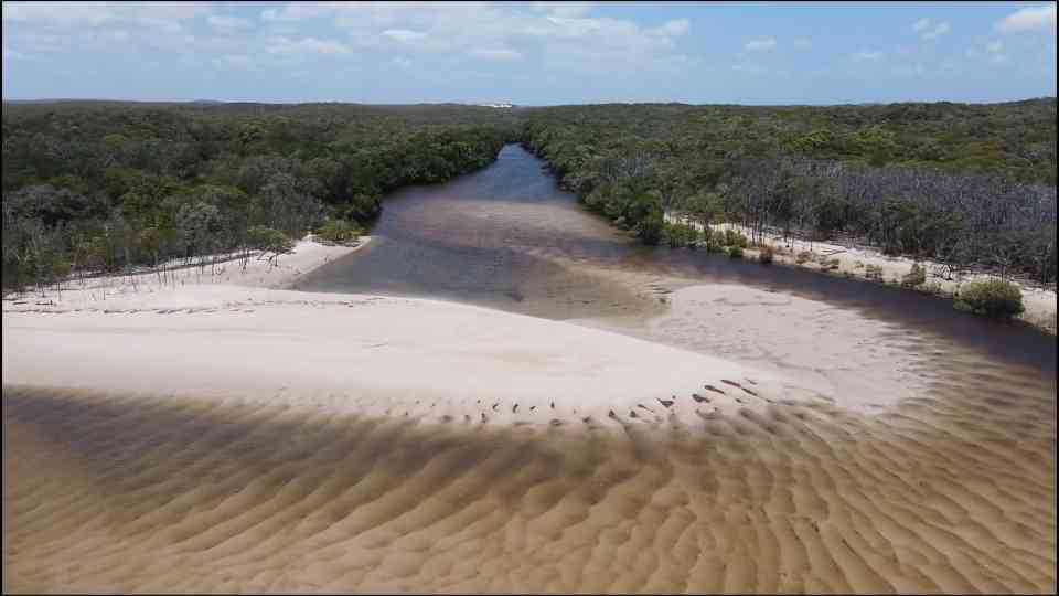 HUNTING FOR FOOD WITH A HANDMADE BOW (Catch & Cook)