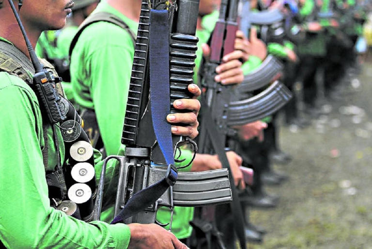 Cpp Calls On Npa To Conduct Tactical Offensives