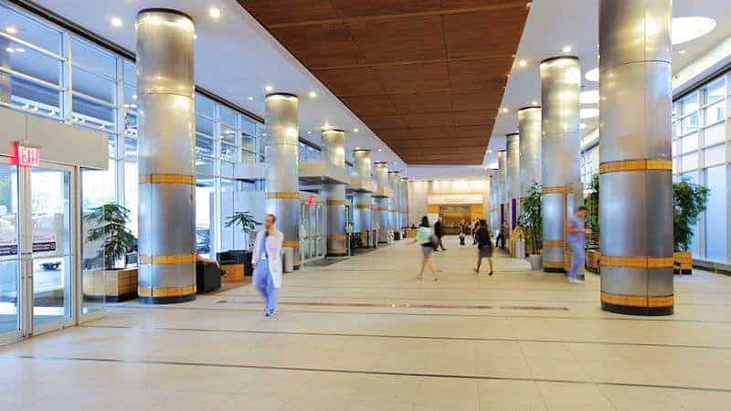 Dolore alla schiena scambiato per sciatica: padre di tre figli muore di ... Dolore alla schiena scambiato per sciatica: padre di tre figli muore di ...