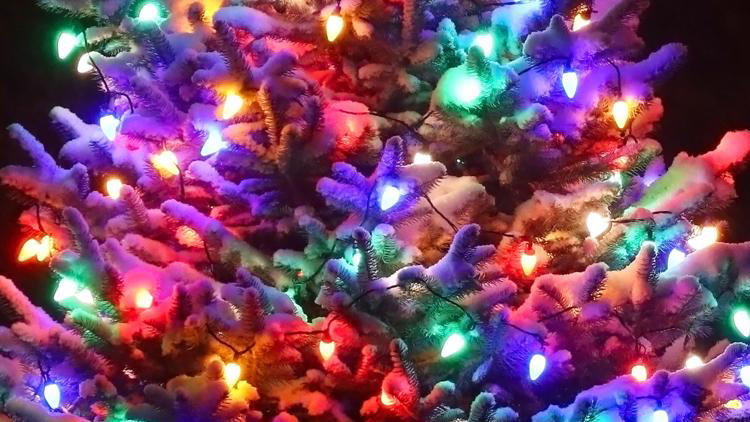 When should Christmas lights come down? Why it's weeks away in Denver