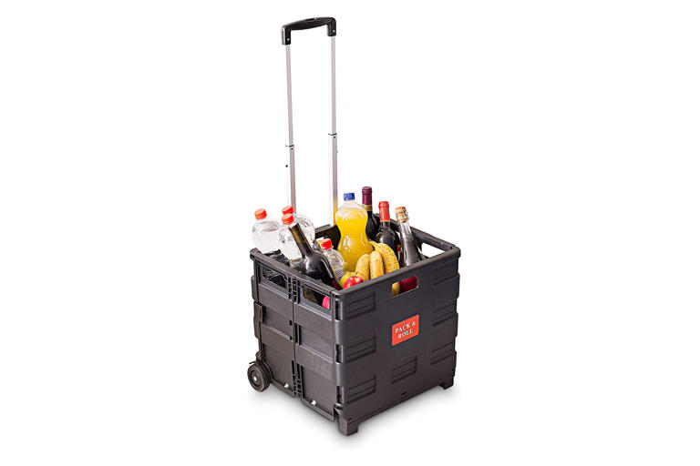 Best wheeled trolleys that fold flat for easy storage