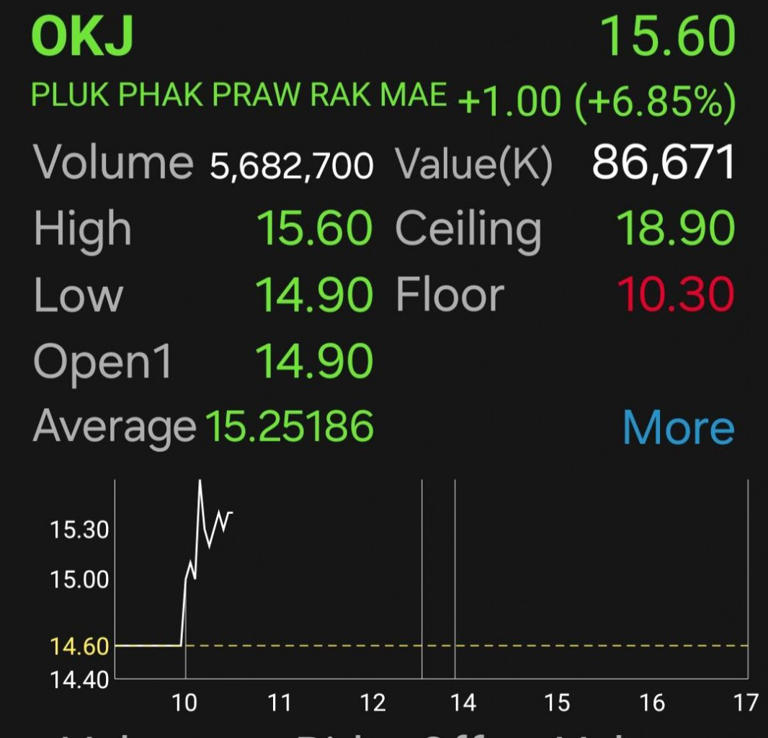 หุ้น OKJ บวกเช้านี้ 6.85% แรงหนุนช่วงพีคไฮซีซั่น-วันหยุดยาว คาดกำไรไตรมาส 4/67 โตแกร่ง