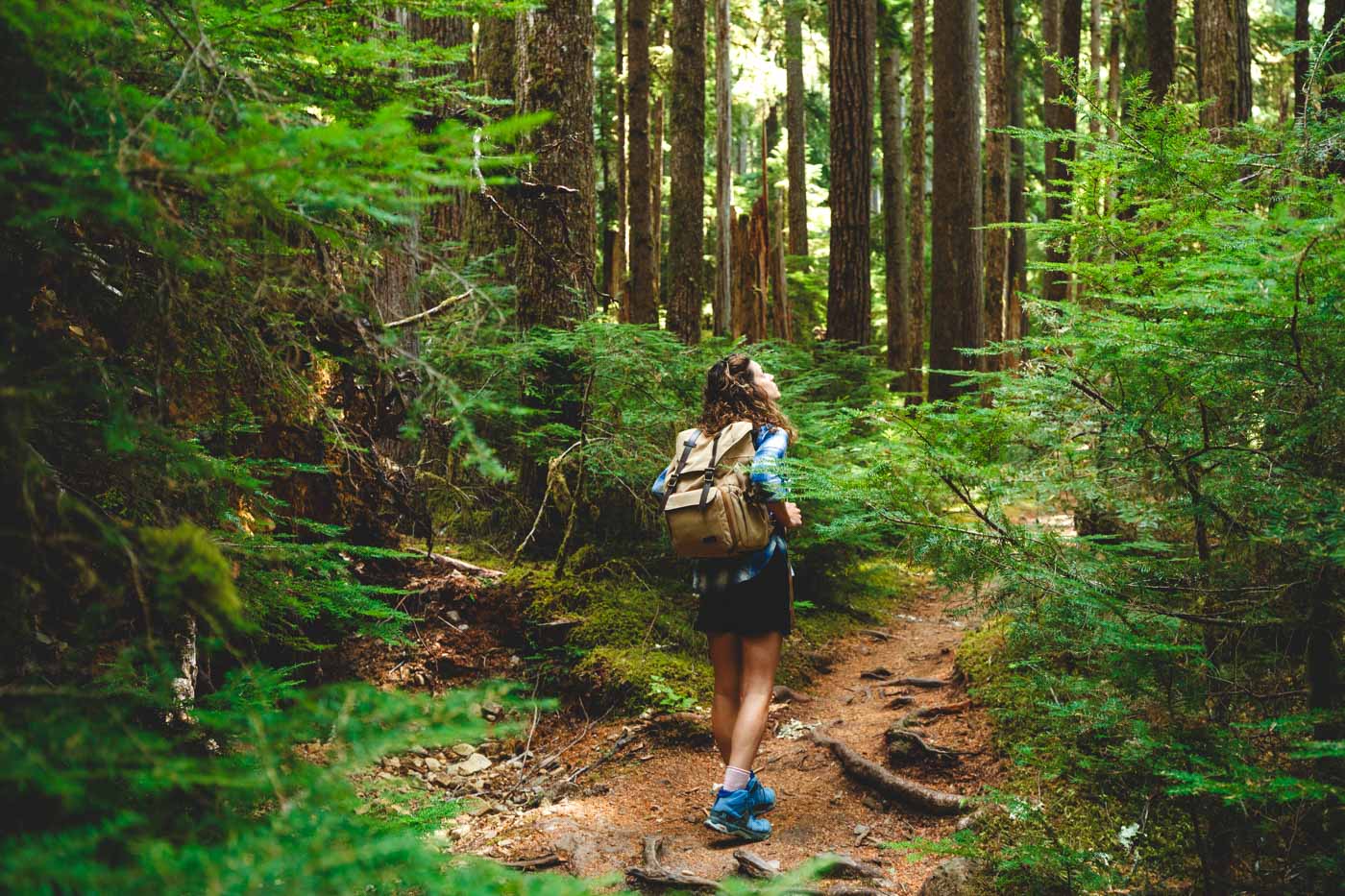 16 AWESOME Things to Do in Forks, Washington